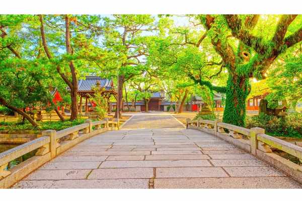 Best Places to Go in Osaka: Must See Spots On your next Visit