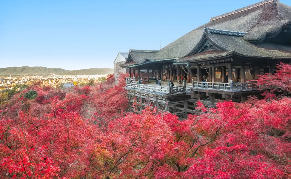 Japan in October: Weather, Festivals & What You Need to Know
