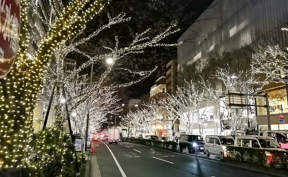 Japan in December - Your Ultimate Guide to Winter Activities