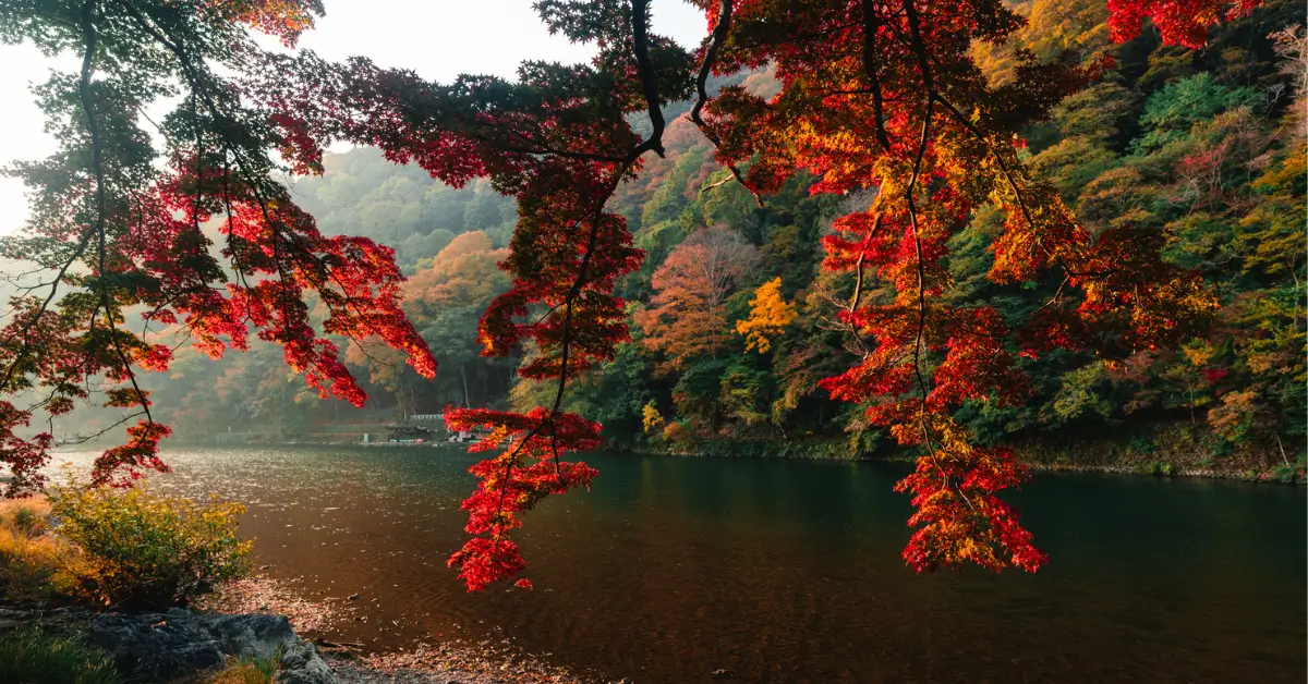 Japan in October: Best Places to Visit and Things to Do