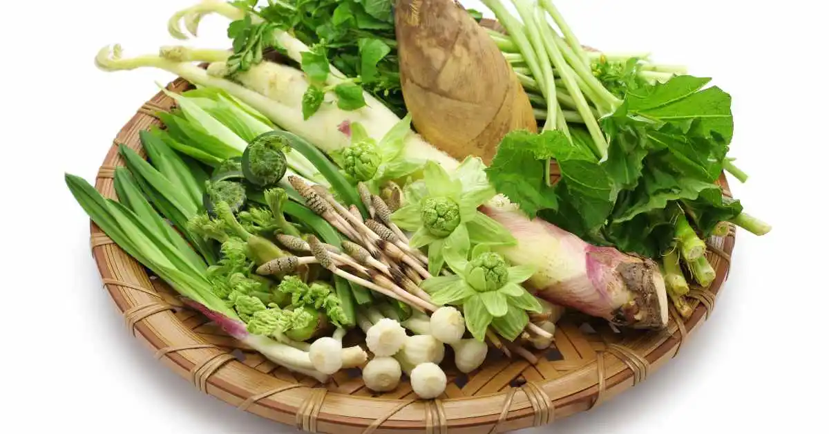 Japanese Vegetables: A Guide To Unique Produce