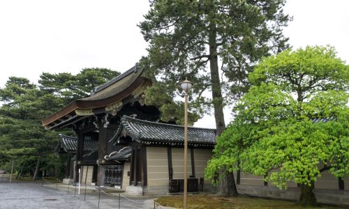 Things to Do in Kyoto Prefecture: Must-See Attractions & Activities