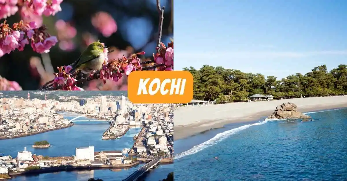 Things to do in Kochi Prefecture: Exploring the Best Tourist Spots