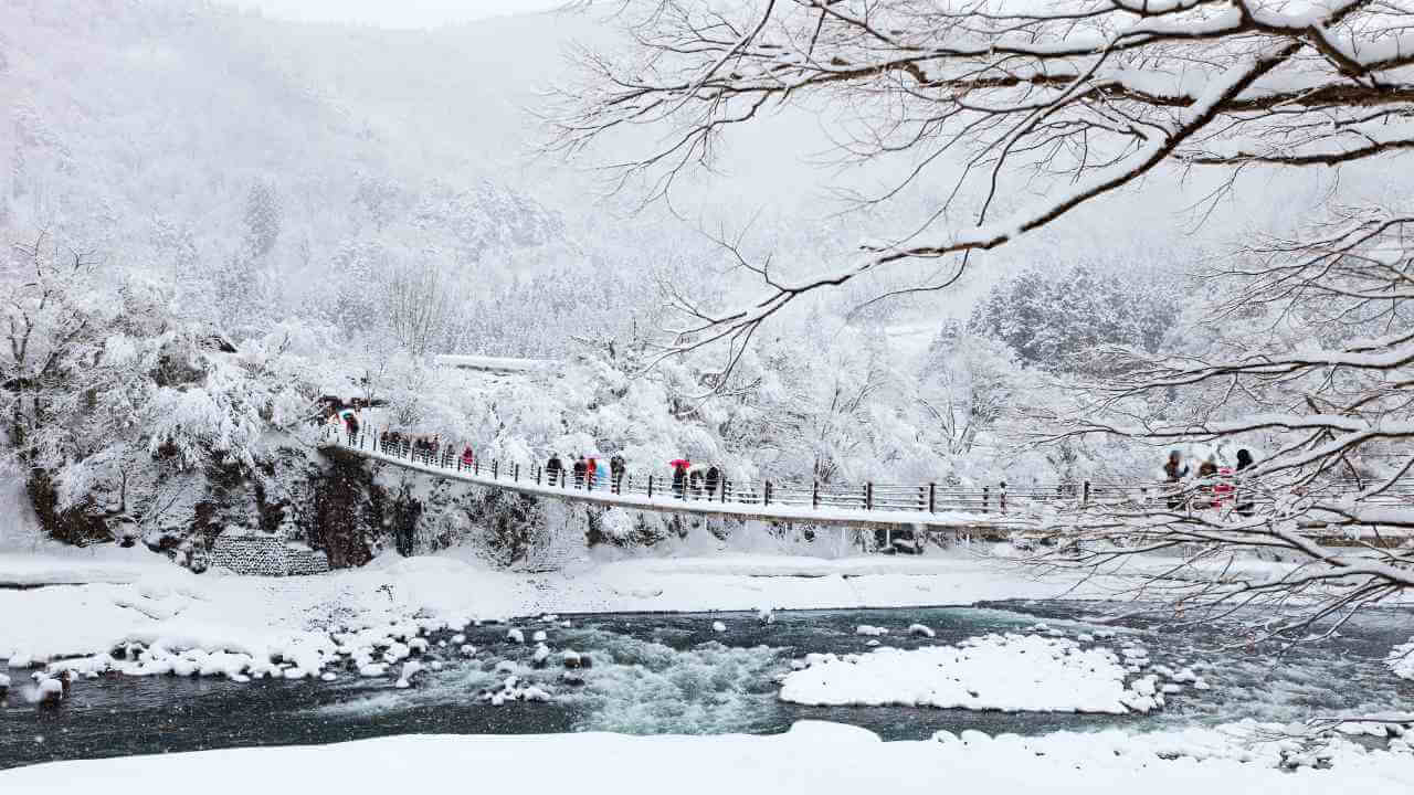 Japan in Winter: Snowy Wonders and Cultural Festivities