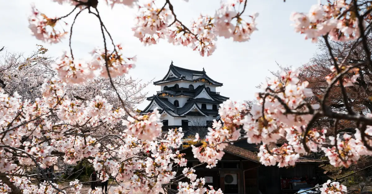 Best Japanese Castles to Visit: 24 of Japan's Architectural Wonders