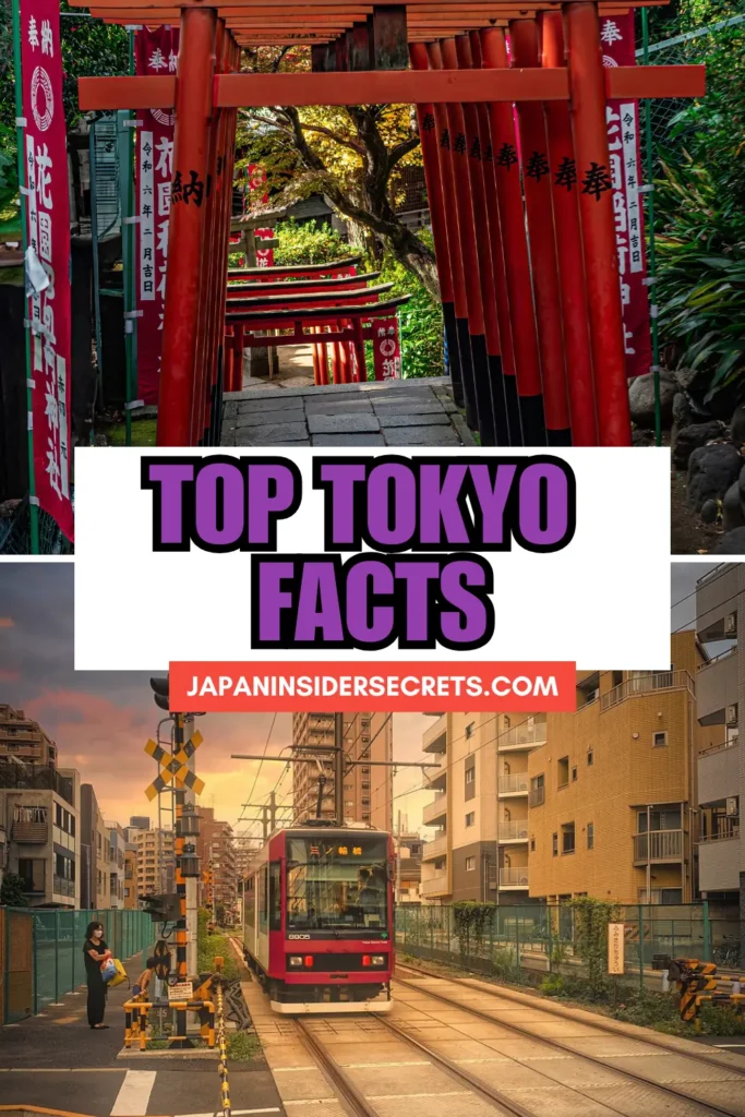 Tokyo Facts That Will Surprise You