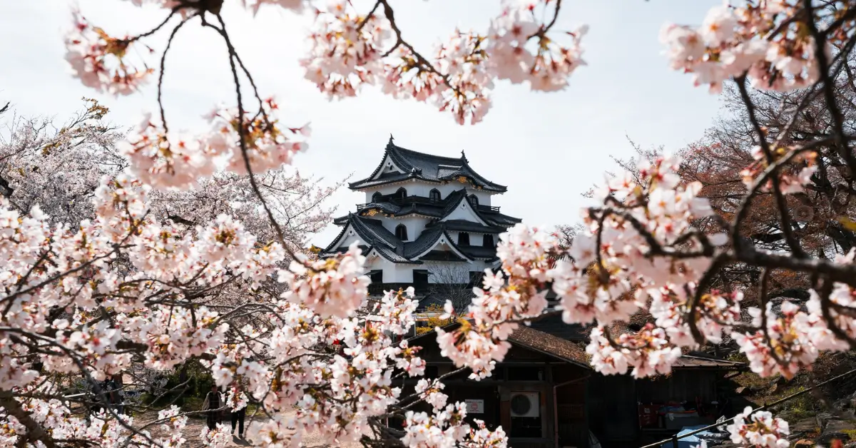 Shiga Prefecture: What to See Beyond Kyoto's Crowds