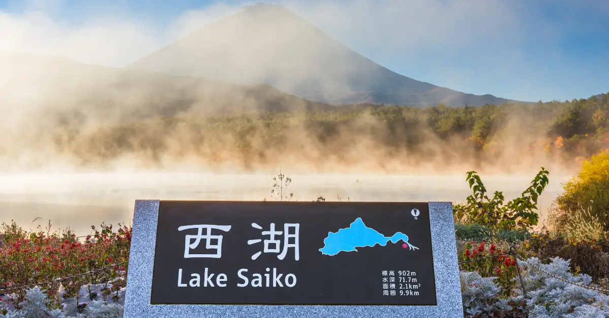 Things to Do at Lake Saiko: A Truly Comprehensive Guide