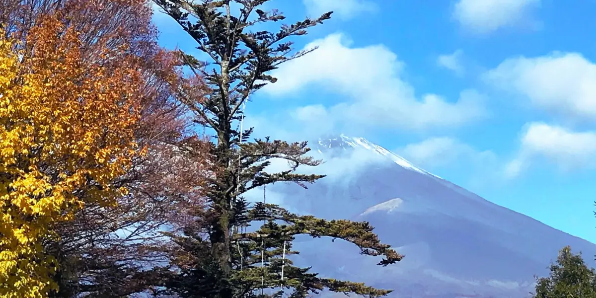 Spots for Viewing Mt. Fuji