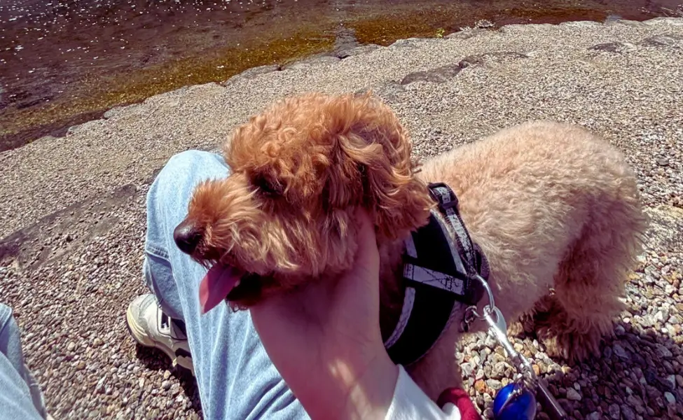 Michi No Eki - The Best Part of Driving in Japan