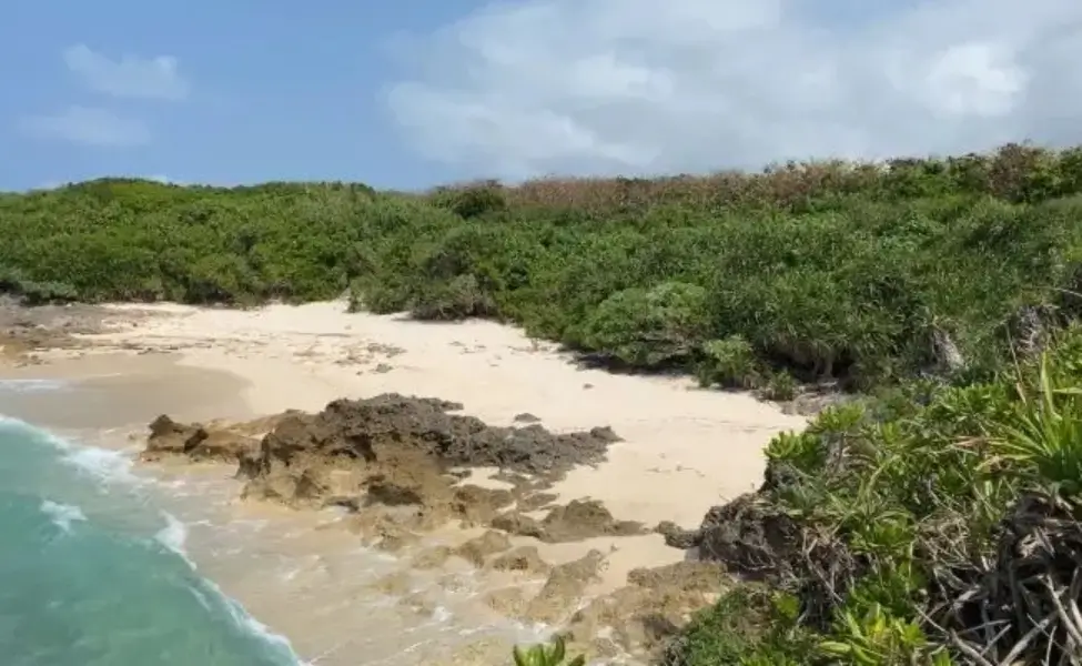 Japanese Islands to Visit: Top Picks Beyond the Mainland