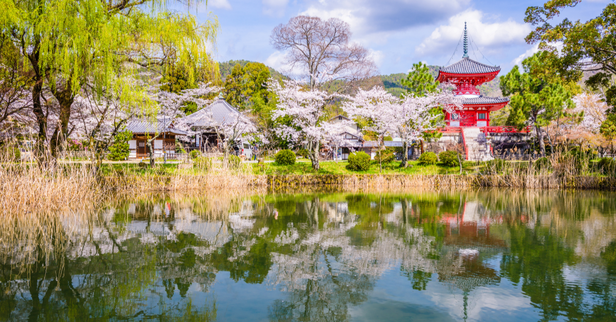 Tokyo Tower: Must-Know Tips for Your Visit